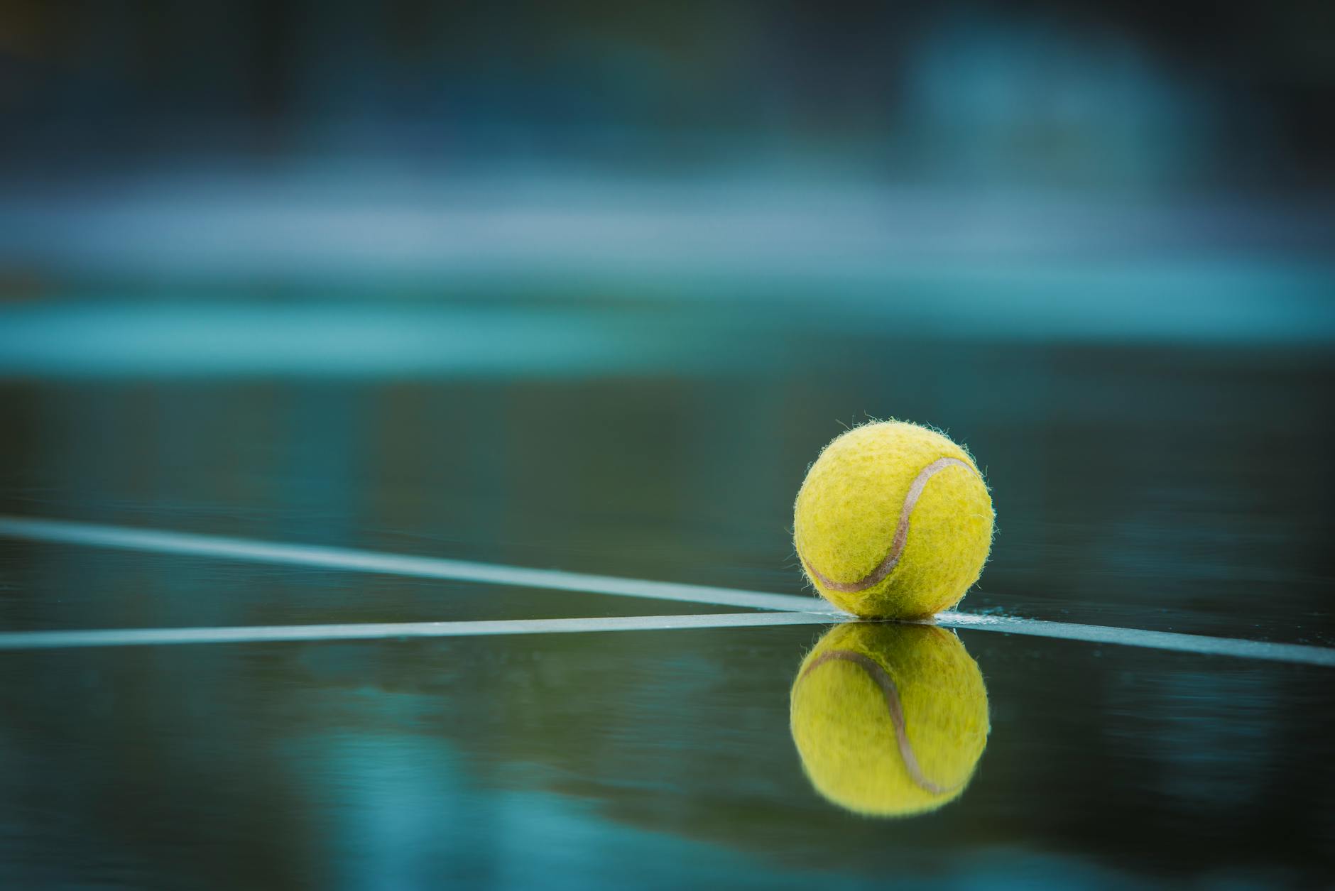 The Sports Bet Network – Daily sports trends and tools to make you a ...